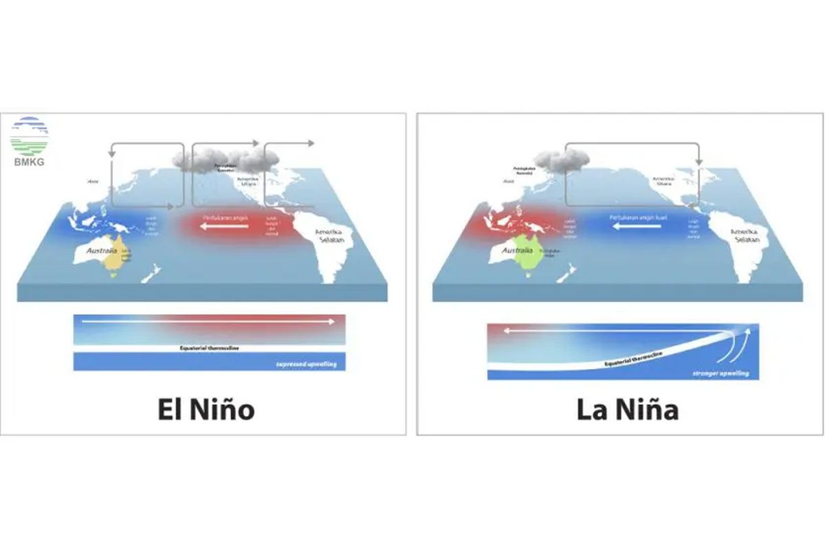 KulkulBali.co - Fenomena El Niño Dan La Niña: Pengaruhnya Terhadap ... KulkulBali.co - Fenomena El Niño Dan La Niña: Pengaruhnya Terhadap ...